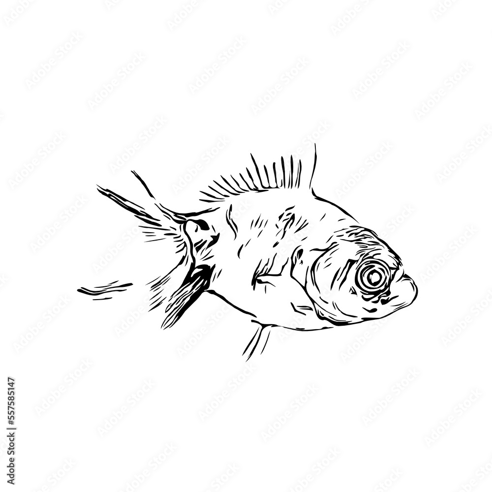 black and white drawing sketch of a fish with a transparent background ...