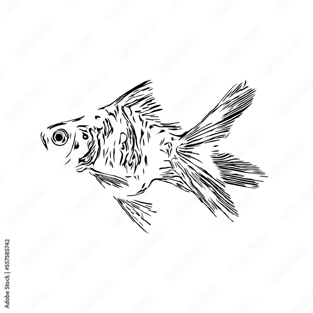 black and white drawing sketch of a fish with a transparent background ...