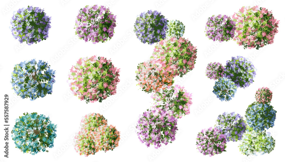 Vector watercolor of blooming tree top view isolated on white ...