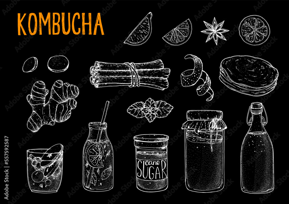 Kombucha tea and ingredients. Kombucha sketch. Hand drawing elements ...