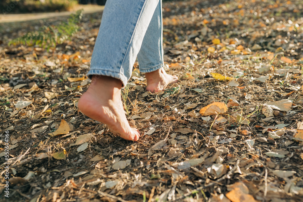Walking Through Dry Leaves