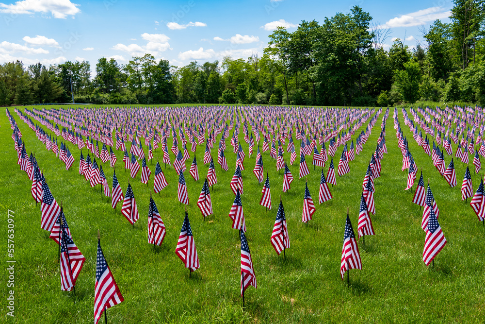 Some of the 7000 flags placed at the Indiantown Gap National Cemetery honoring the 7000 veterans ...