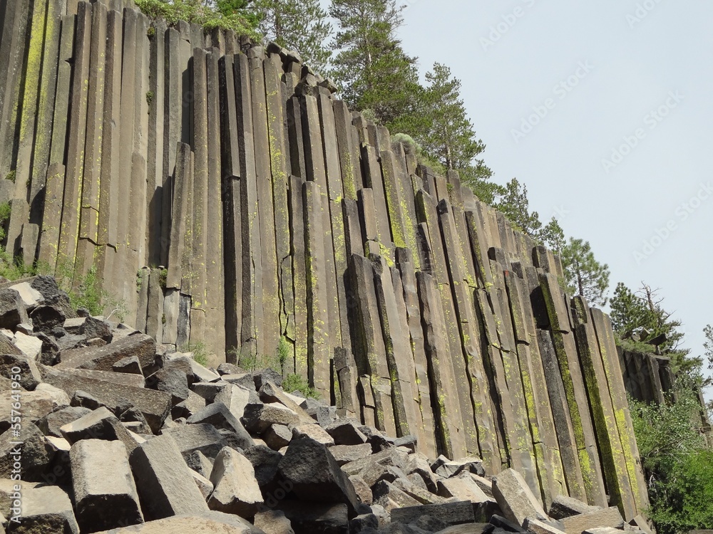 Columnar Basalt Detail at Devil's Postpone National Monument Stock ...