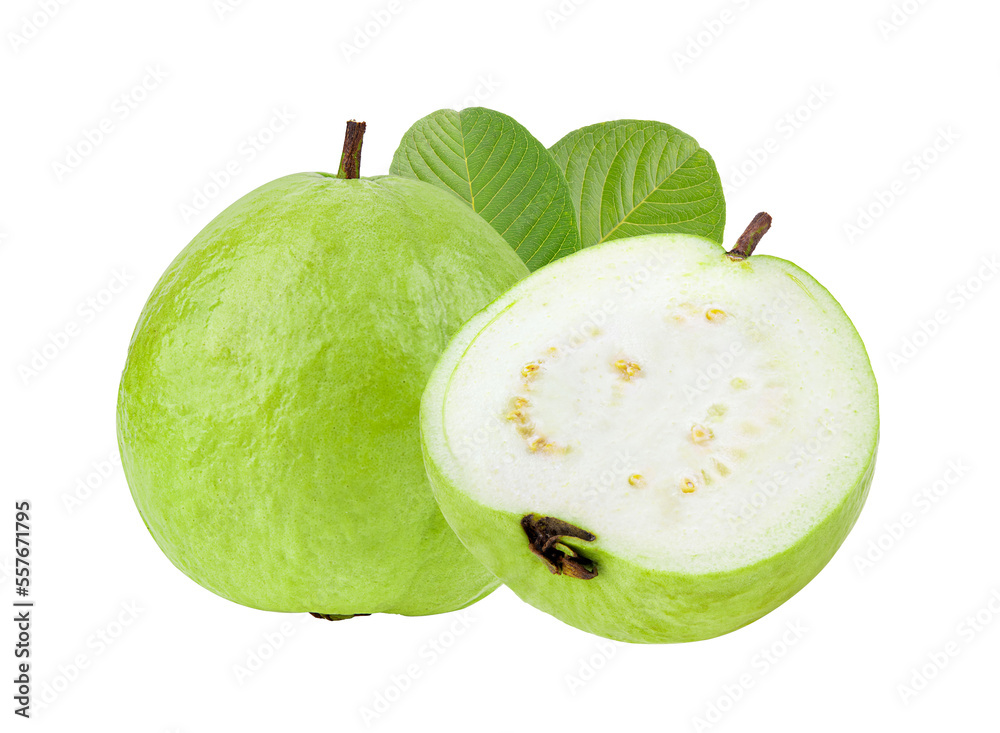 Guava fruit with leaf isolated on transparent png Stock Photo | Adobe Stock