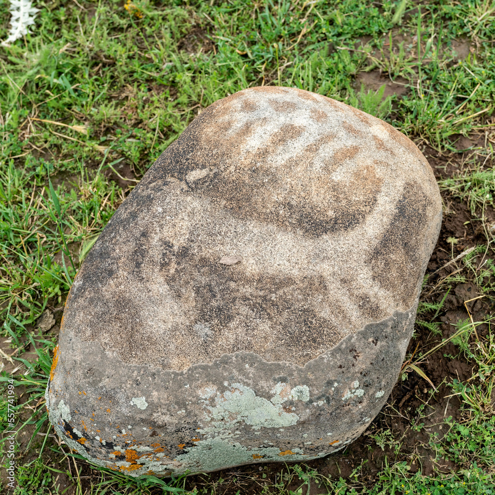 Petroglyph in Kyrgyzstan. An ancient rock carving and engraving known ...