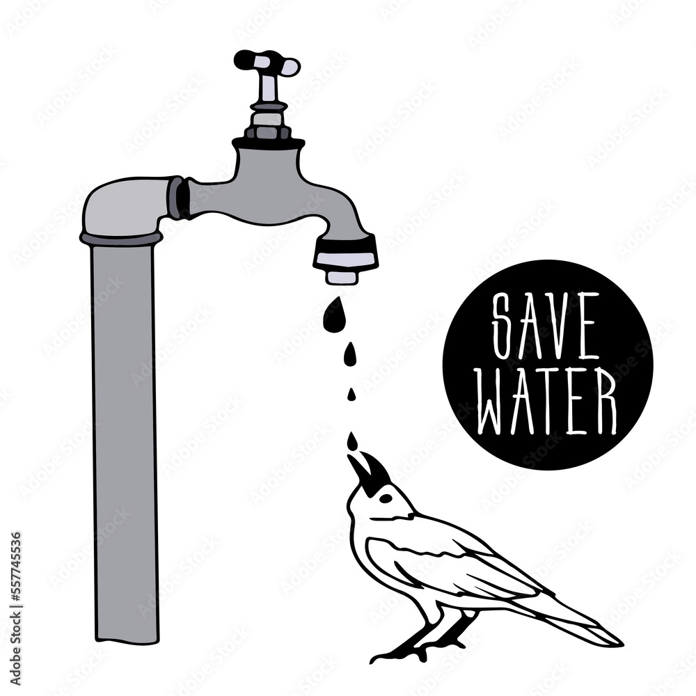Bird Raven Stands Under Faulty Water Tap With Valve Drop Of Falling Water Bird Drinks Washes