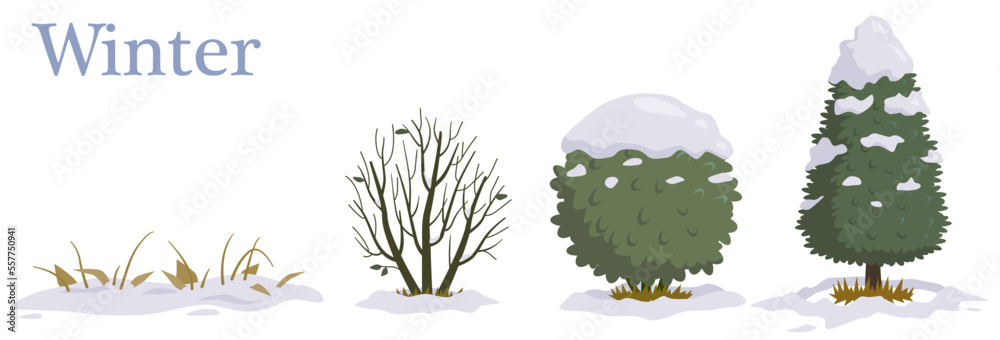 An illustrated set of shrubs and bushes in winter Stock Vector | Adobe ...