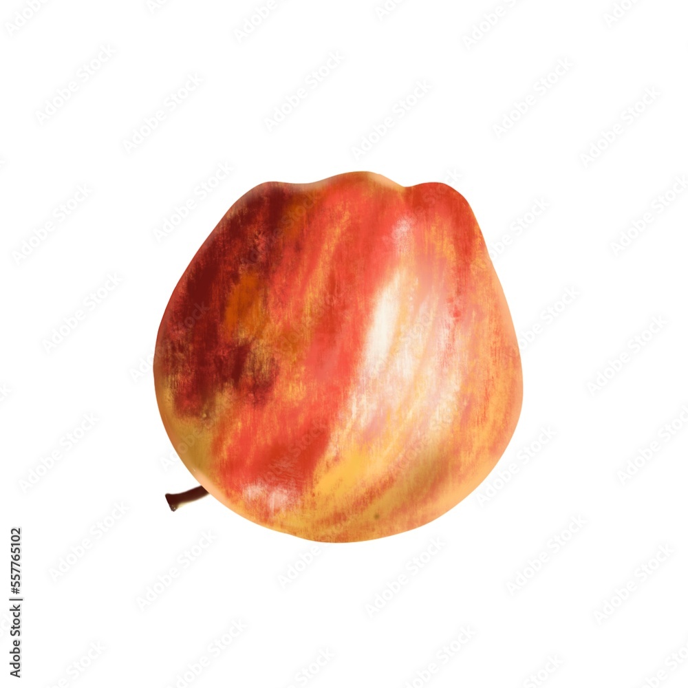 Whole red apple with yellow stripes on a white background, hand drawn ...