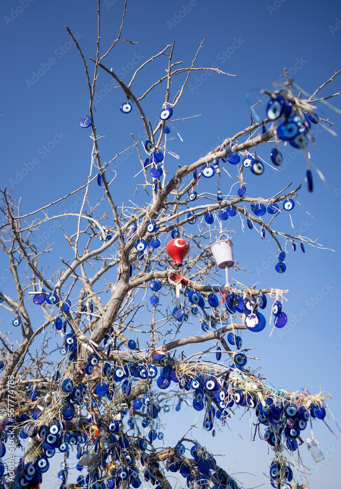 Evil Eye Tree Turkey