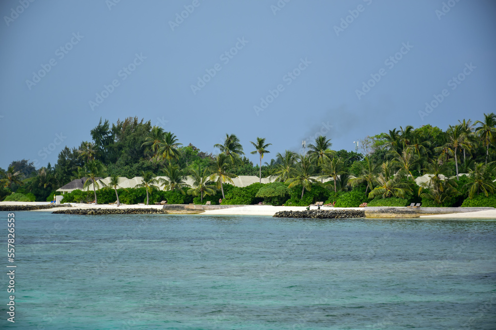 Maldives island landscape. Water, sand and greenery. Lush, tropical ...