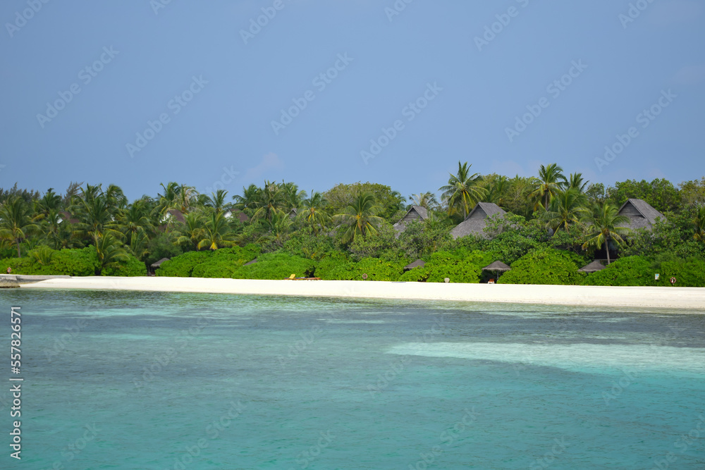 Maldives island landscape. Water, sand and greenery. Lush, tropical ...