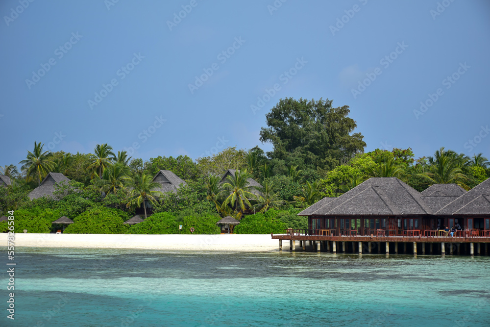 Maldives island landscape. Water, sand and greenery. Lush, tropical ...