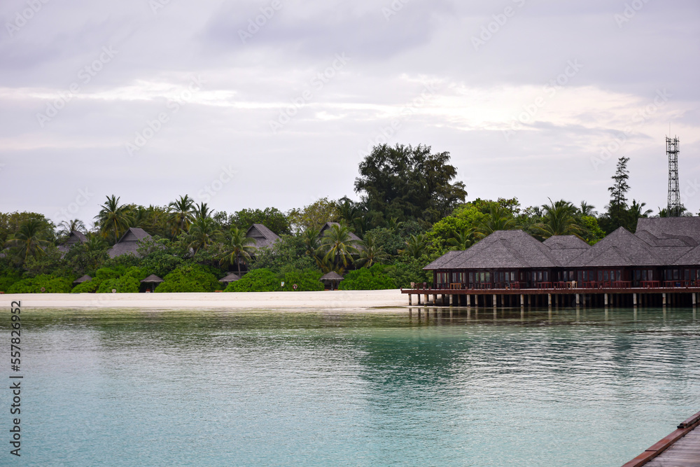 Maldives island landscape. Water, sand and greenery. Lush, tropical ...