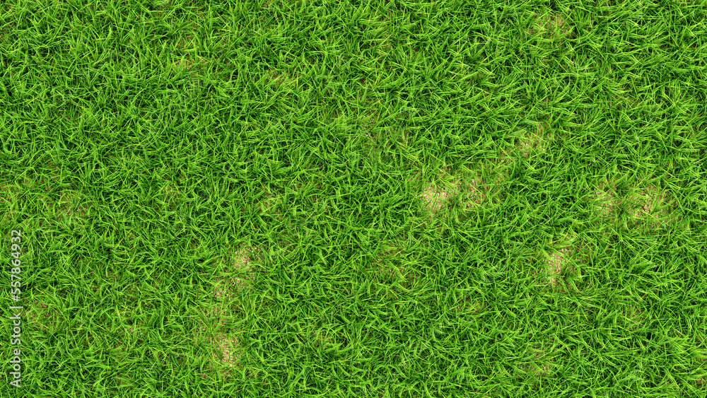 green grass background, top down view of green grass field Stock ...