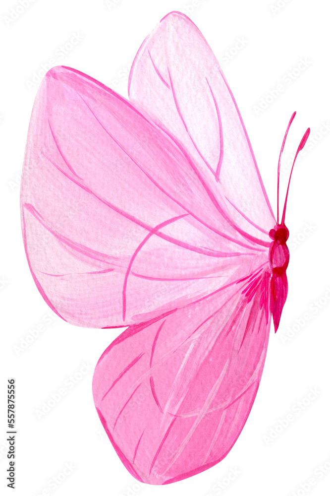 Bright pink butterfly on isolated white background, acrylic painting ...