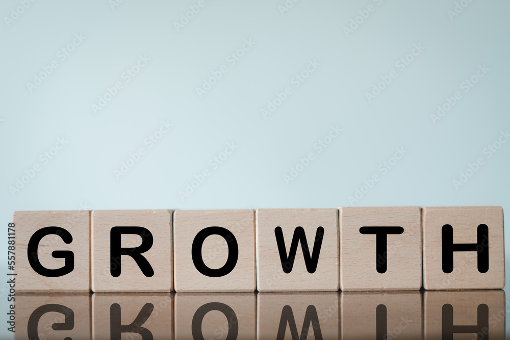 Woodens cubes with the word "GROWTH" written over white background with ...
