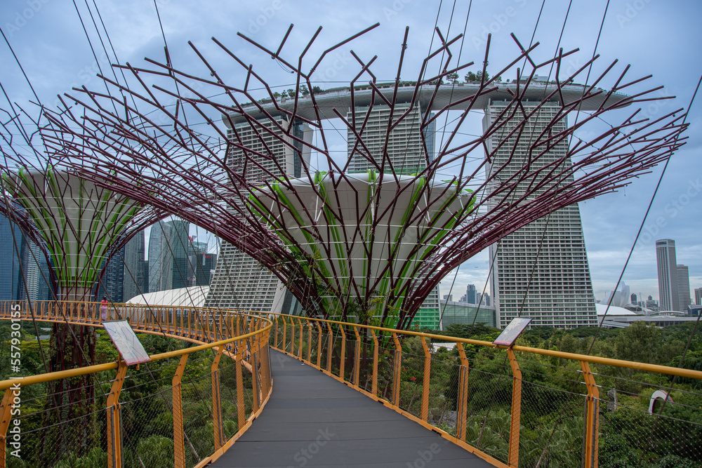 Singapore, Singapore 30 August 2022, The OCBC Skyway in Singapore Stock Photo | Adobe Stock