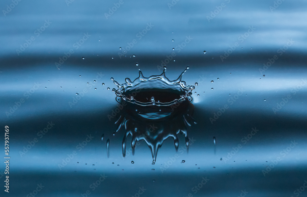 High Speed Water Splash Photography