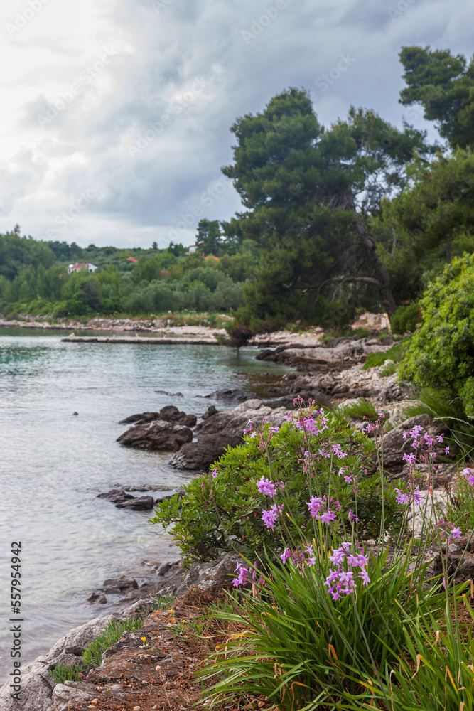 Uvala Gradina, a quiet little cove in Zaljev Vela Luka on the island of ...