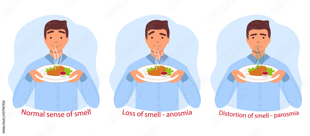 Normal sense of smell, anosmia and parosmia are the consequences of a ...