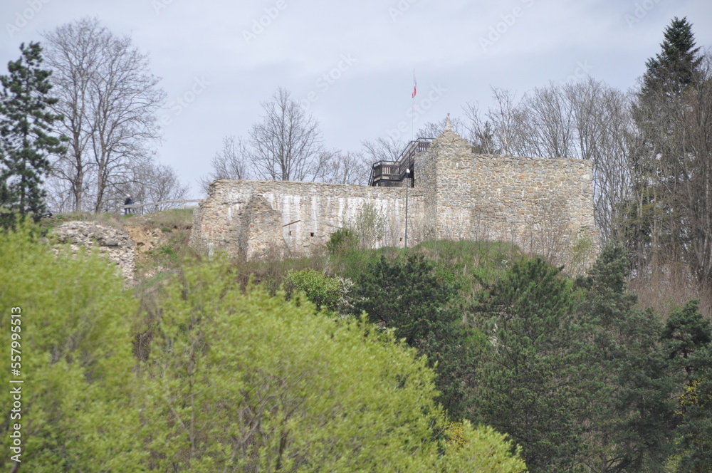 Foto de baszta, zamek w Muszynie, wieza, architektura, ruina, forteca ...