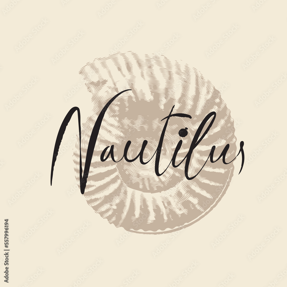 vector logo sign with drawing of ancient petrified ammonite shells or ...