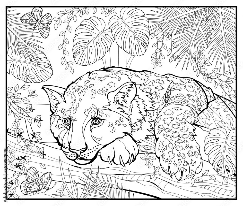 Coloring book for children and adults. Cute little leopard in jungle ...