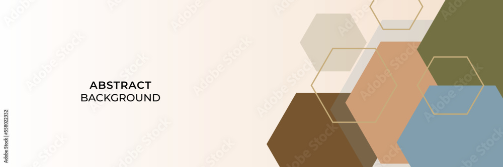Minimal geometric background. Modern geometric shapes with line art ...