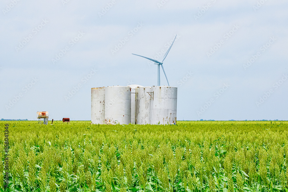 Wind turbine in an agriculture field of maize with oil tanks ...