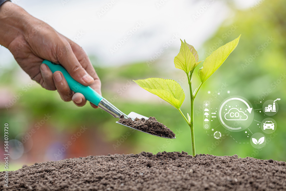 Hand planting trees with technology of renewable resources to reduce ...