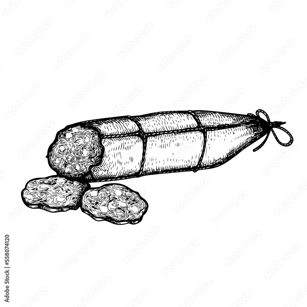 Salami dry sliced sausage in vintage style. Hand drawn sketch style ...