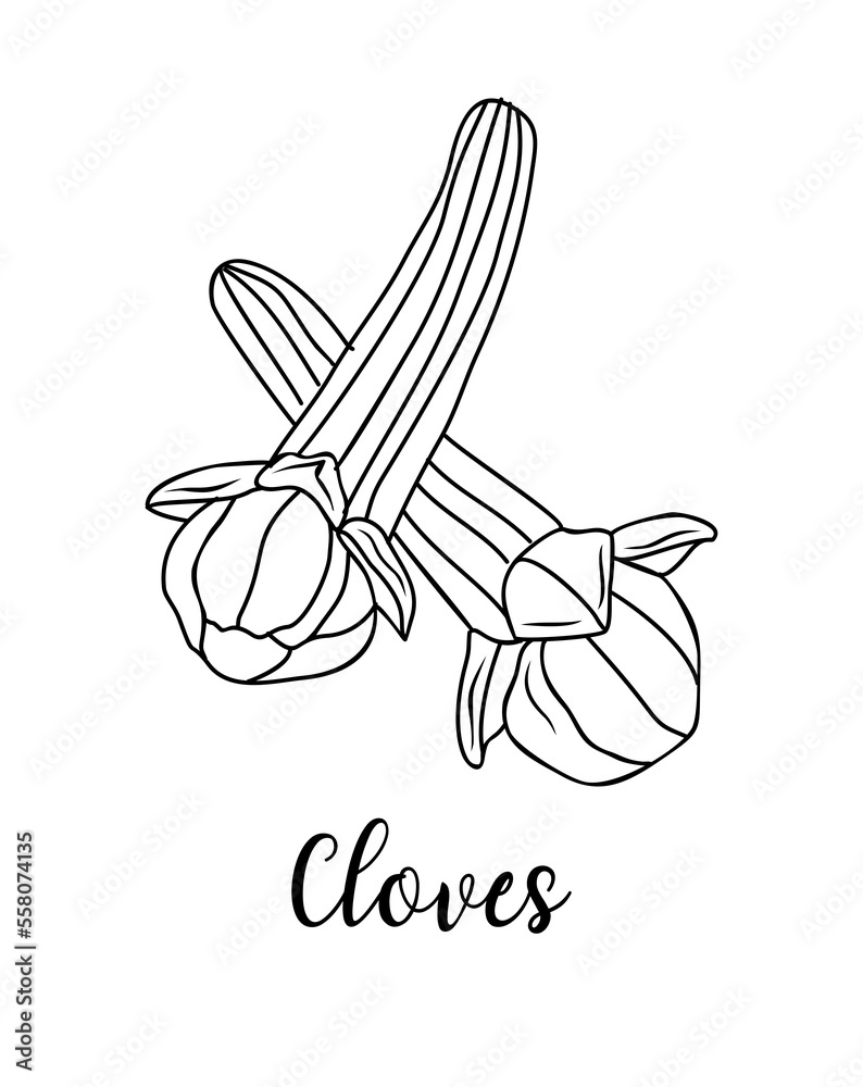 Black and white illustration of cloves spice on transparent background ...