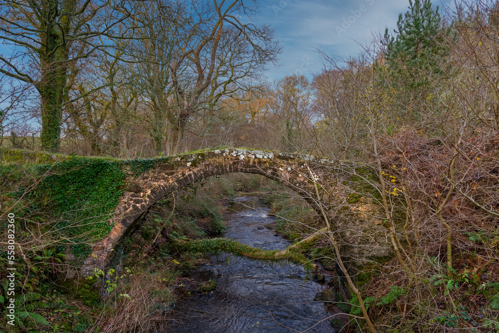 Lichen covered ancient Roman Bridge B listed on the road to Cornaleese ...