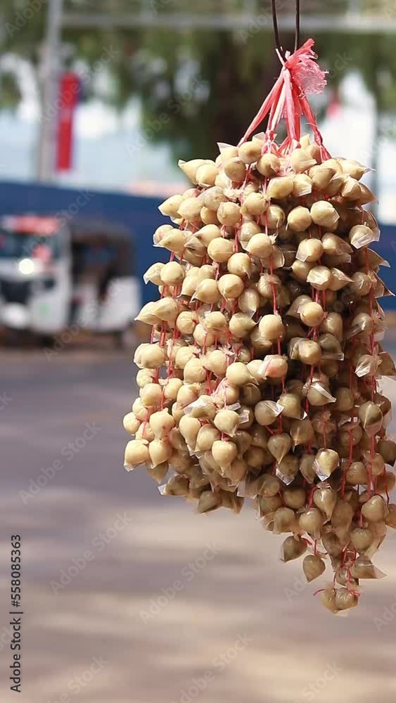 Vertical video showing naem or spiced fermented meat wrapped in plastic ...