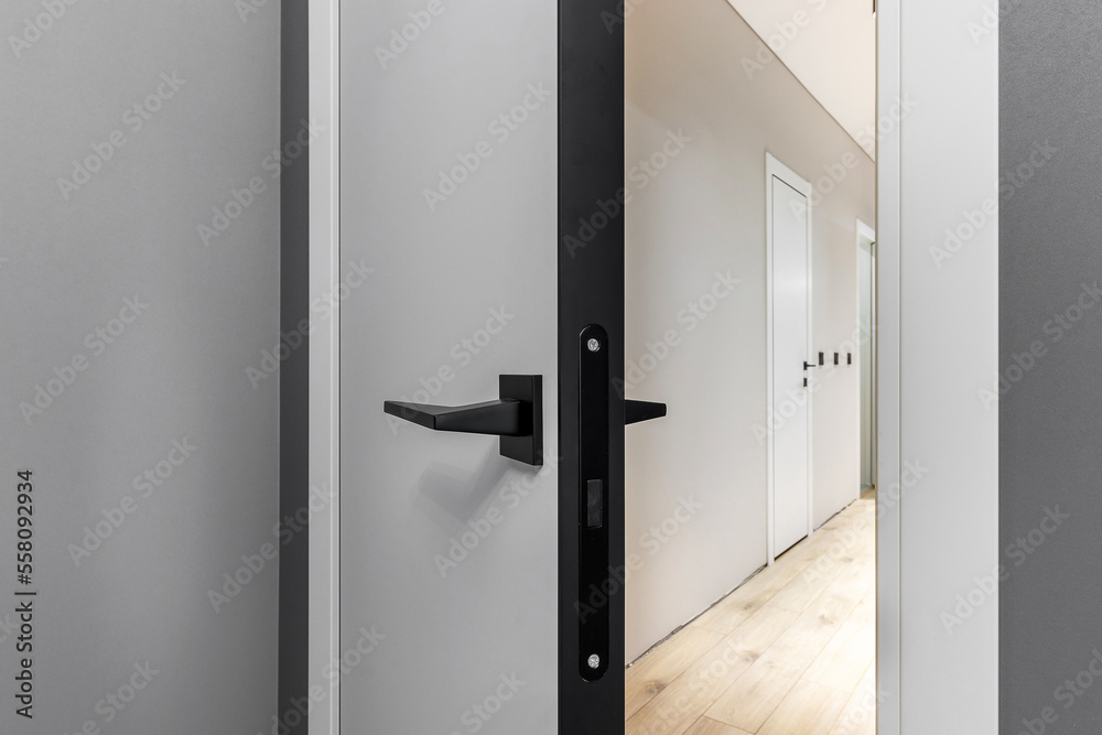 Chrome handle with keyhole on white door with panels in frames ...