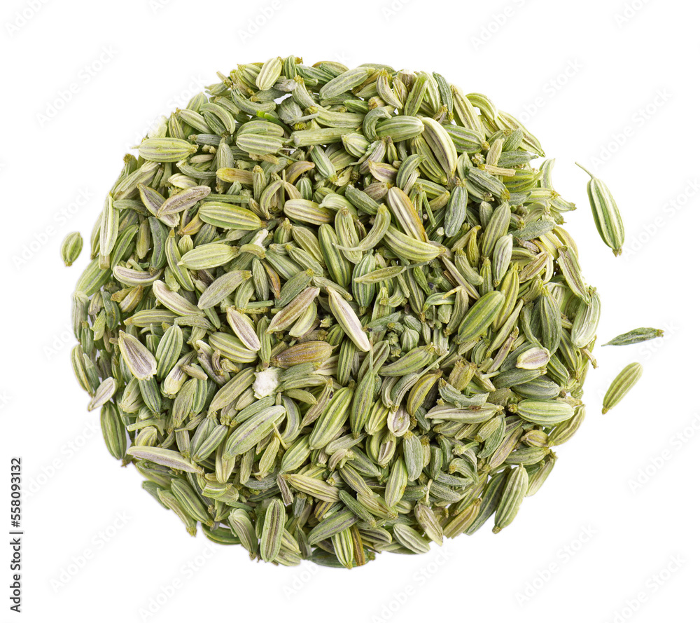 Fennel seeds isolated on white background. Green fennel grains. Spices ...