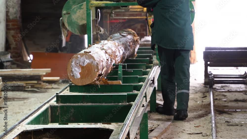 Sawing log on a bandsaw in a sawmill, plank production process Stock ...
