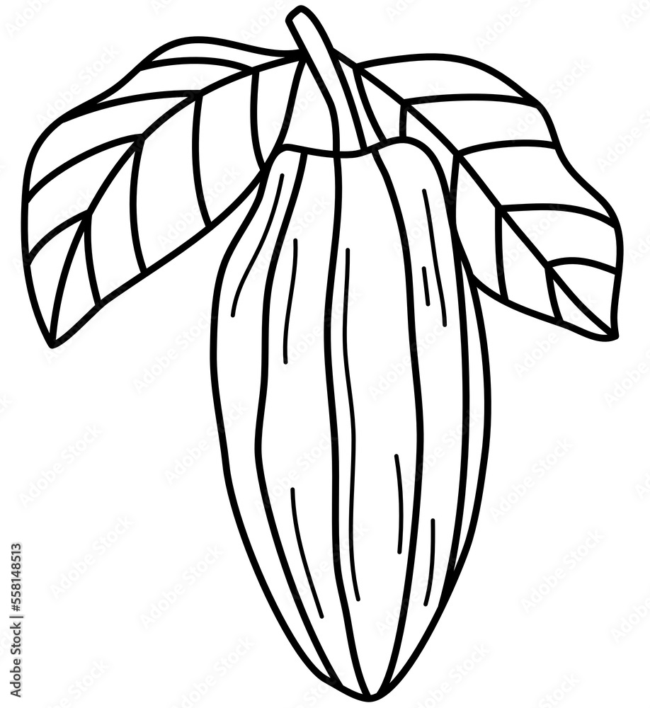 Cacao beans line art outline Stock Illustration | Adobe Stock