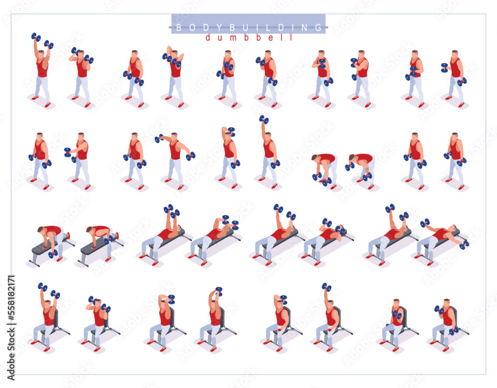 Dumbbell Training Bodybuilding Exercises set. Best dumbbell exercises for building big and ...