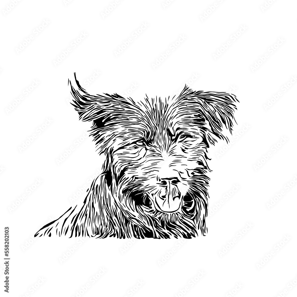 black and white drawing sketch of a dog with a transparent background ...
