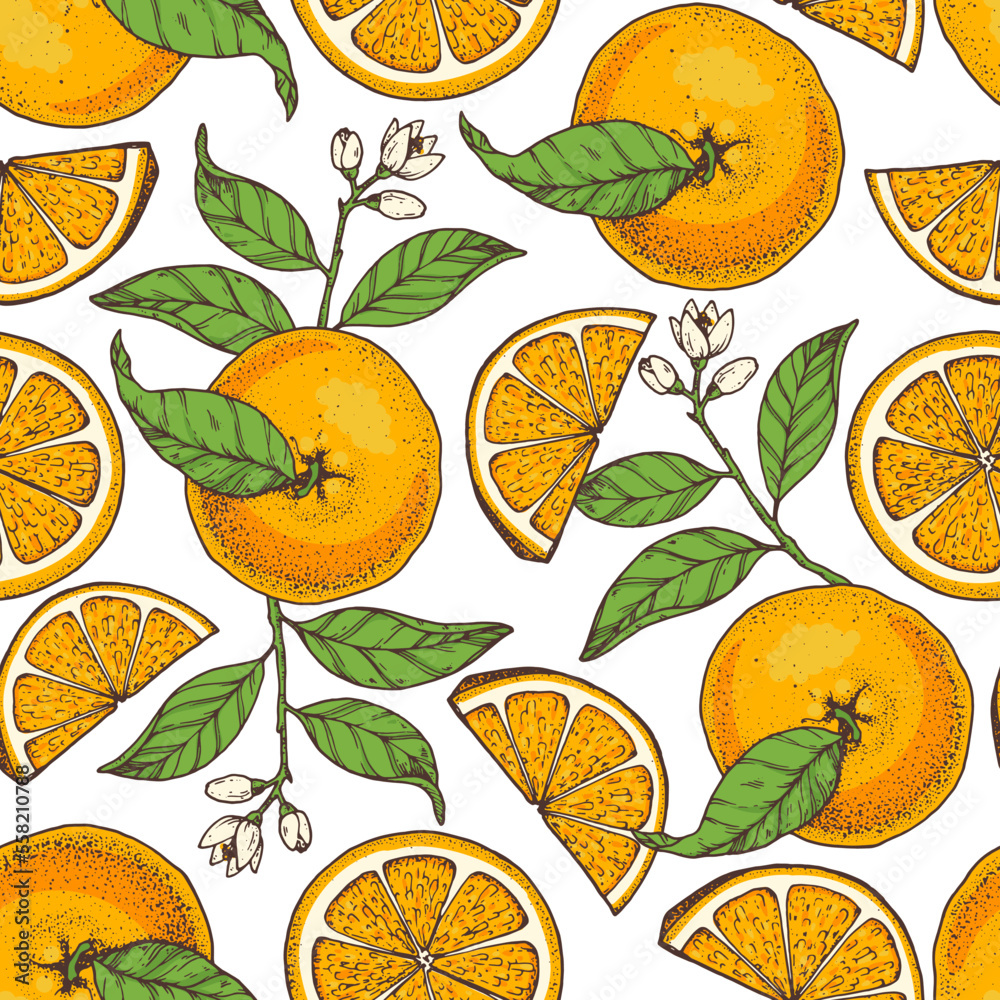 Orange fruit hand drawn design. Seamless pattern. Vector illustration ...