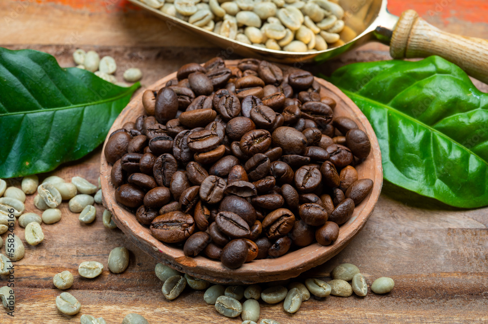 Green and roasted coffee beans from South America coffee producing ...