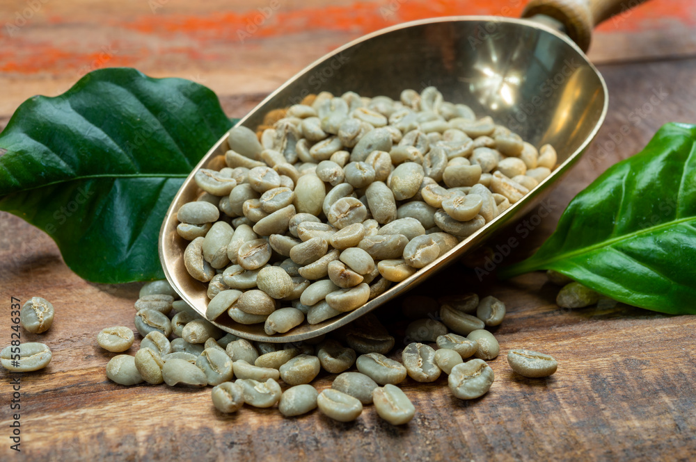 Green coffee beans from South America coffee producing region, from ...