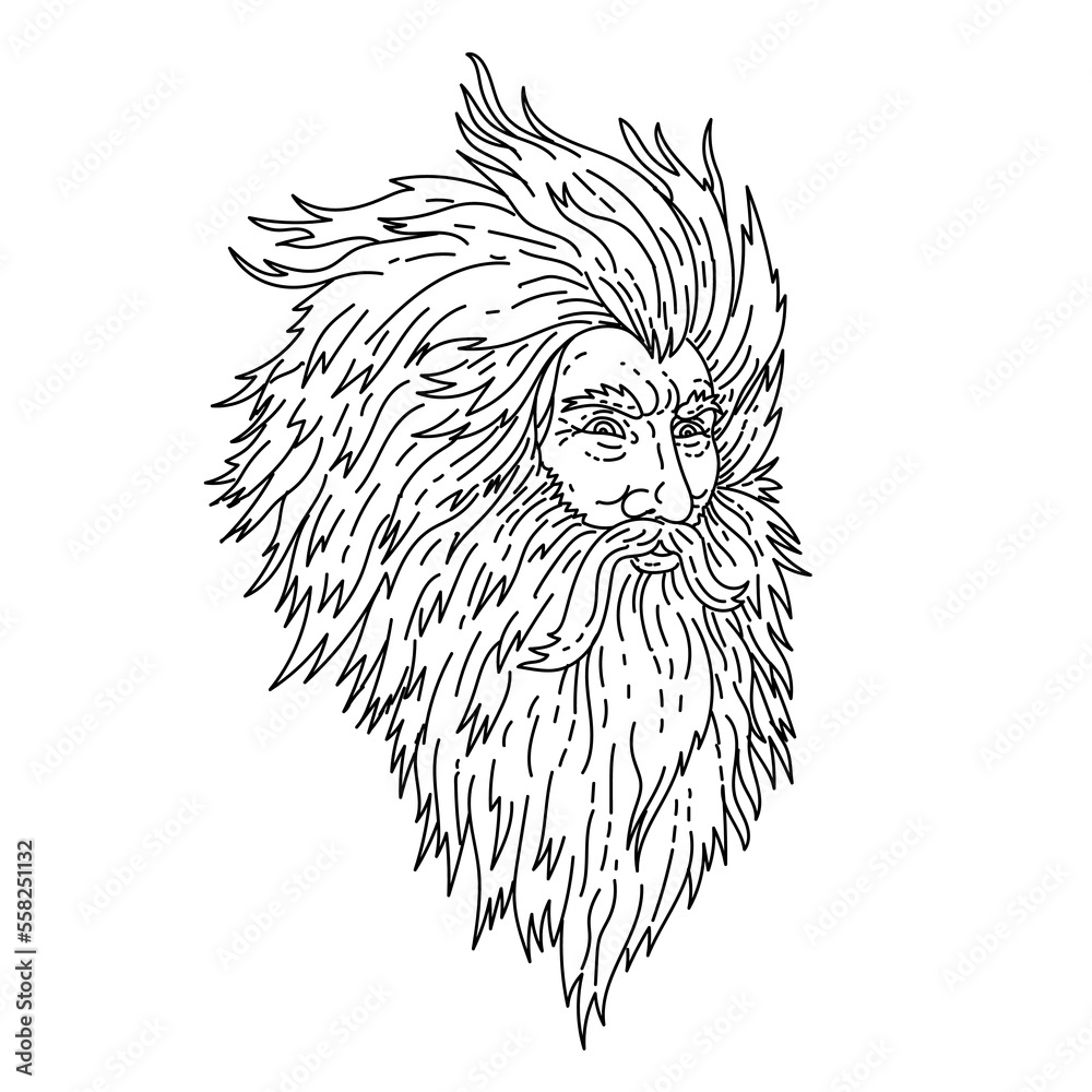 Mono line illustration of head of angry Greek god Zeus or Roman god ...