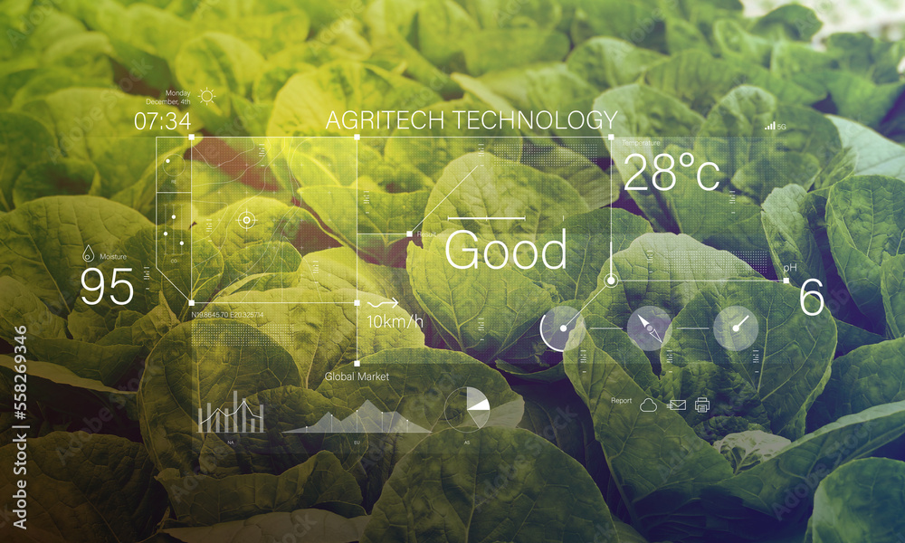 Digital futuristic technology in smart argriculture farm using ai ... Digital futuristic technology in smart argriculture farm using ai ...