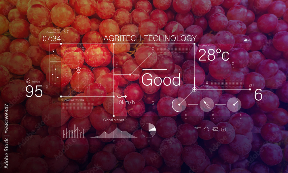 Digital futuristic technology in smart argriculture farm using ai ... Digital futuristic technology in smart argriculture farm using ai ...