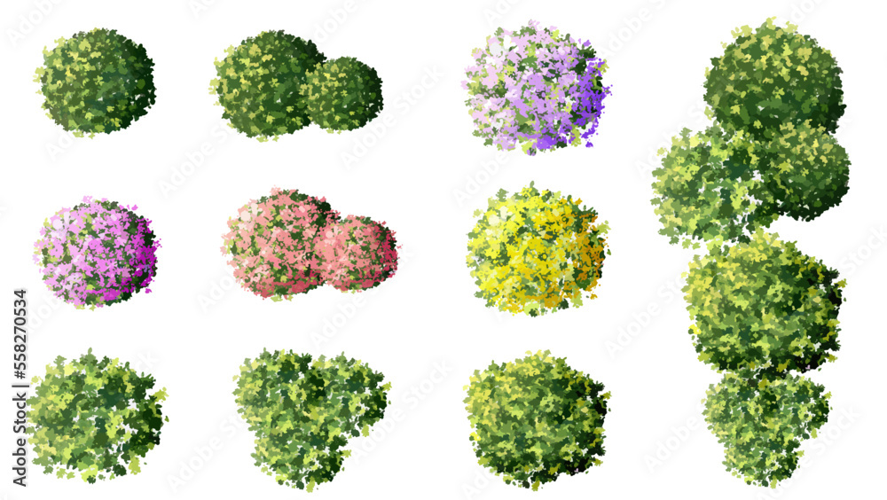 Vector watercolor of blooming tree top view isolated on white ...