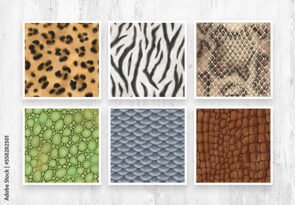 Animal Print Patterns Stock Template | Adobe Stock