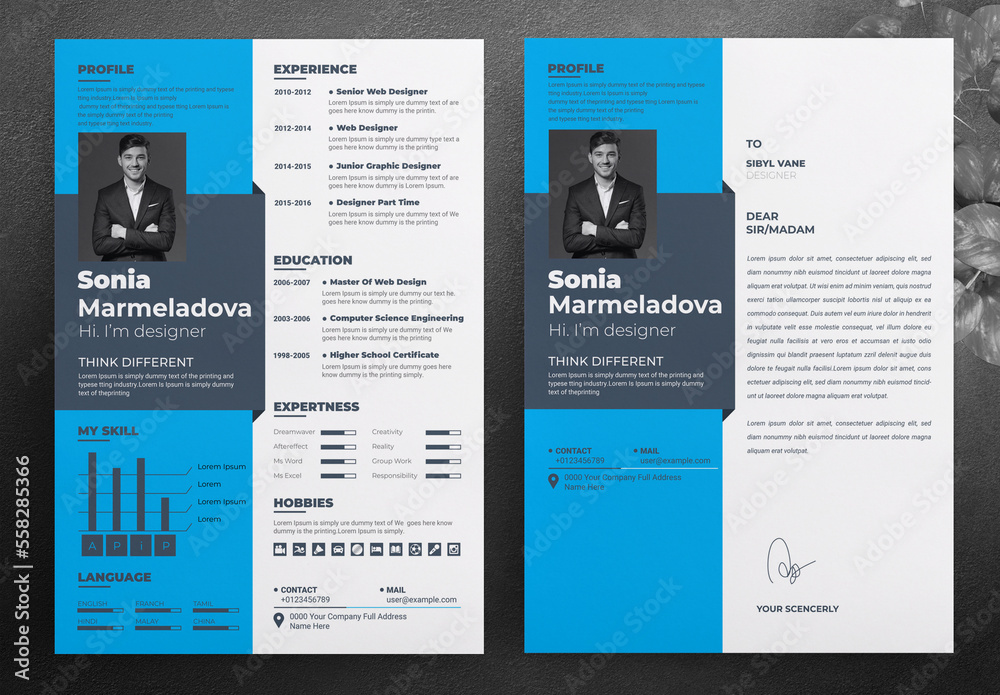 Resume Design Layout Stock Template | Adobe Stock