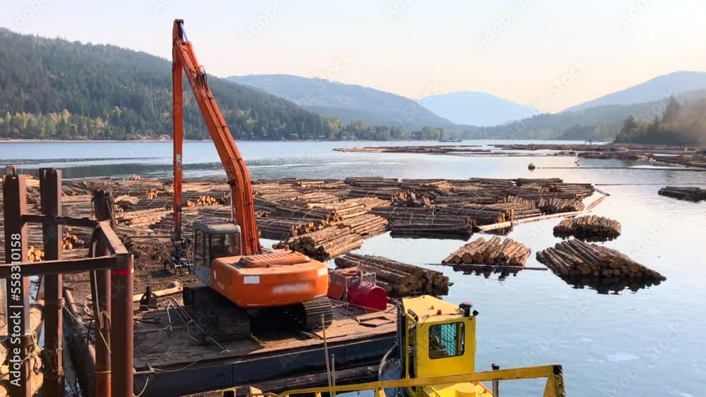 Log loader sitting on barge in water surrounded by floating logs at ...